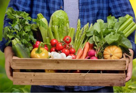 Basic Needs Initiative